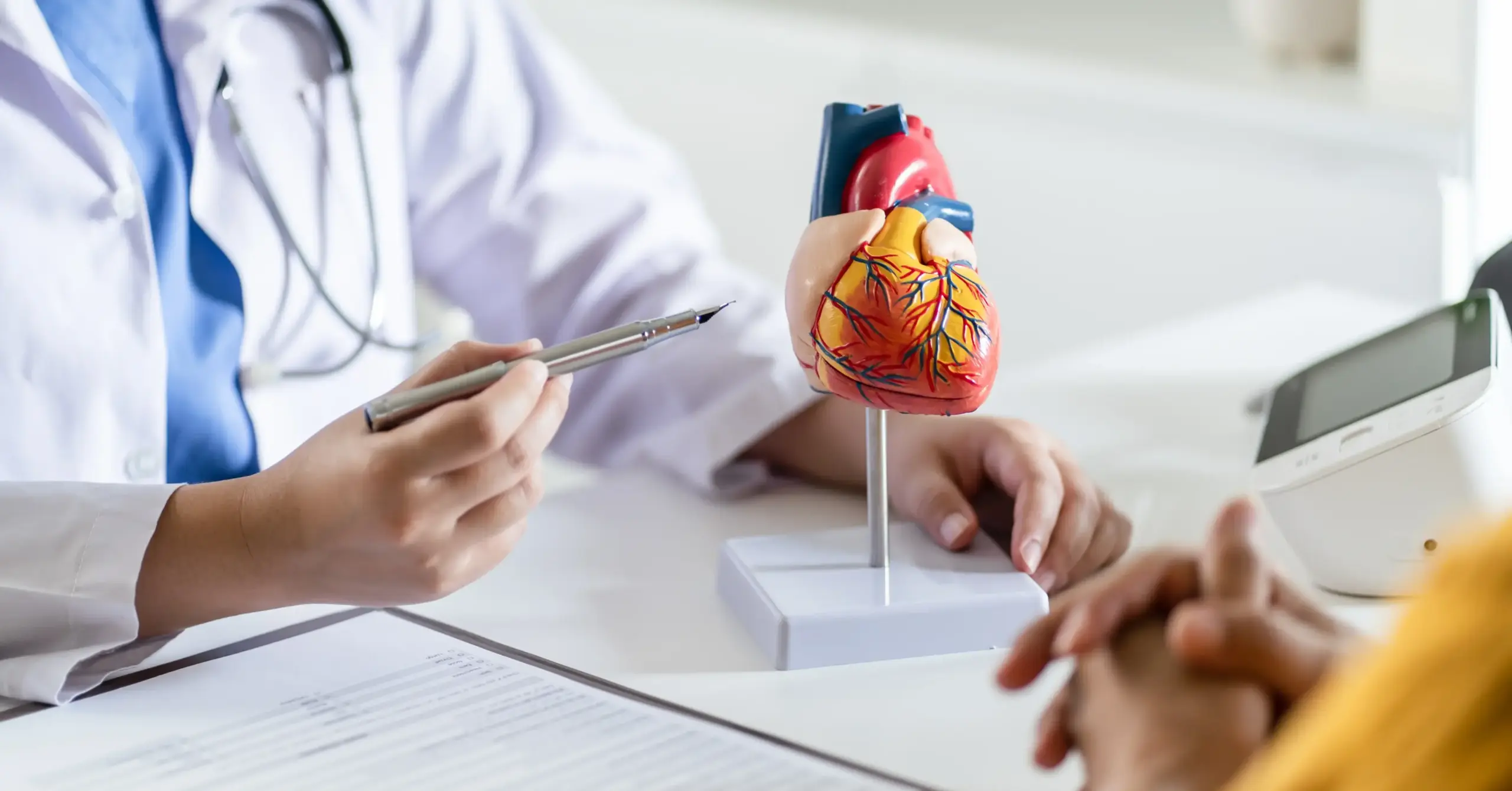 Osteoporosis Treatment in Perth | Expert Bone Care